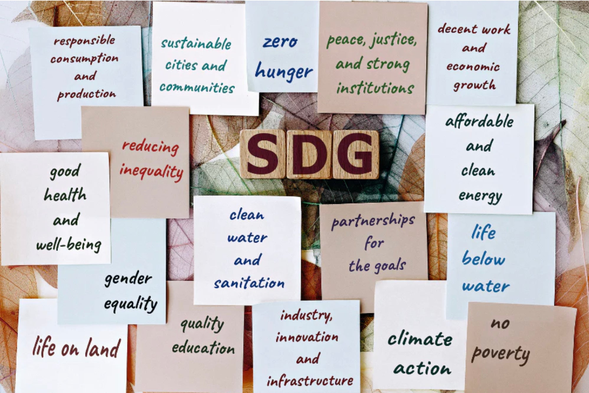 How Mondays can help you meet your Sustainable Development Goals (SDGs – Organic Mondays Home